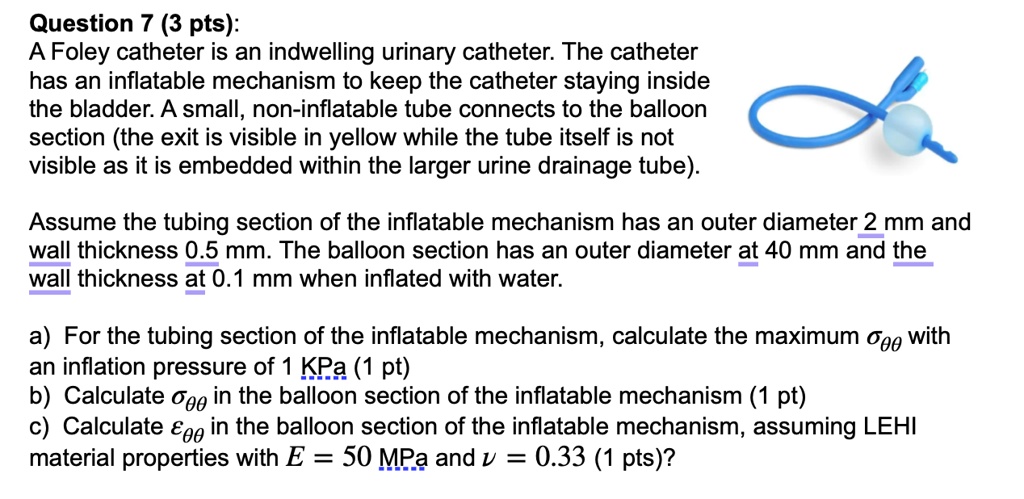 Question 7 (3 pts): A Foley catheter is an indwelling urinary catheter ...