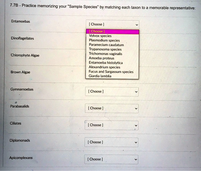 SOLVED: 7.7B Practice memorizing your "Sample Species" by matching each ...