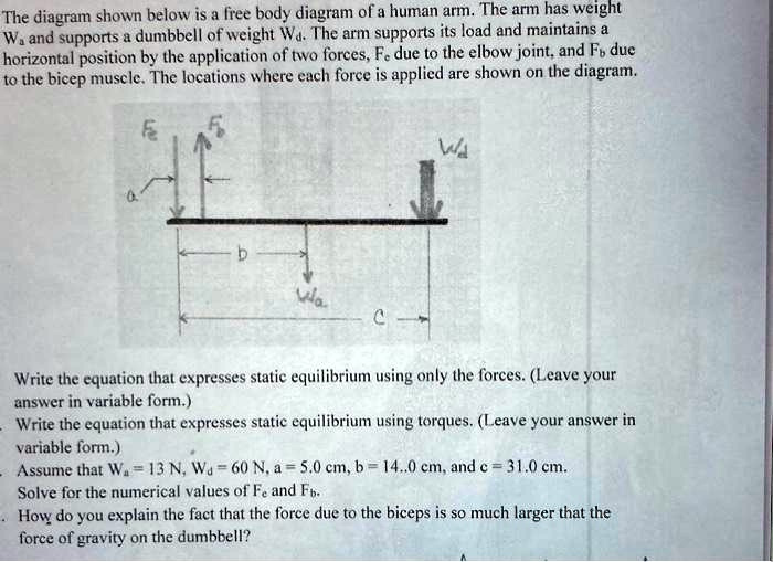 SOLVED: The diagram shown below is a free body diagram of a human arm ...