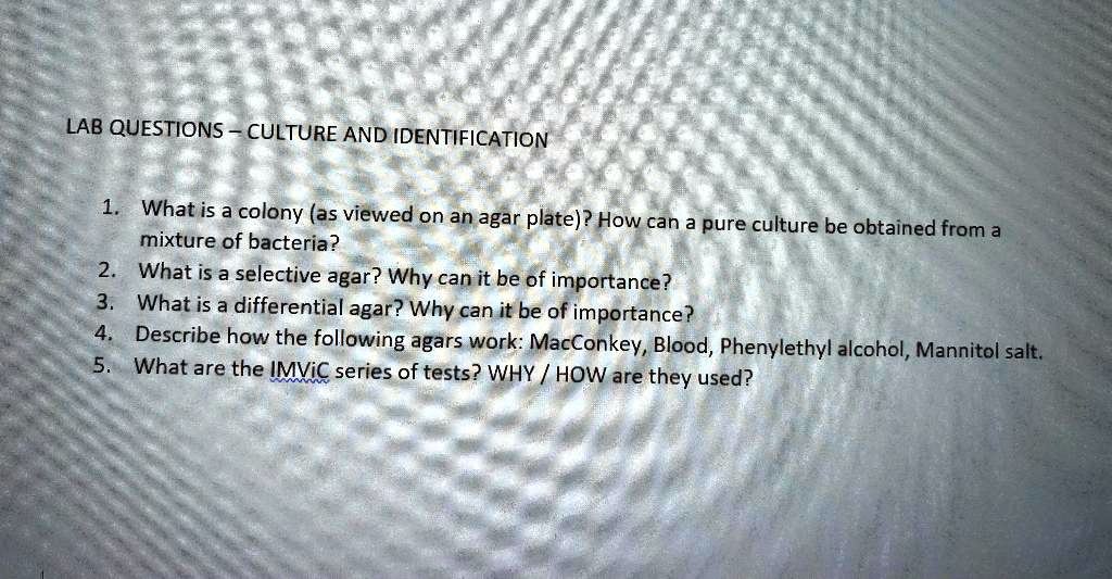 LAB QUESTIONS - CULTURE AND IDENTIFICATION 1. What is a colony (as ...