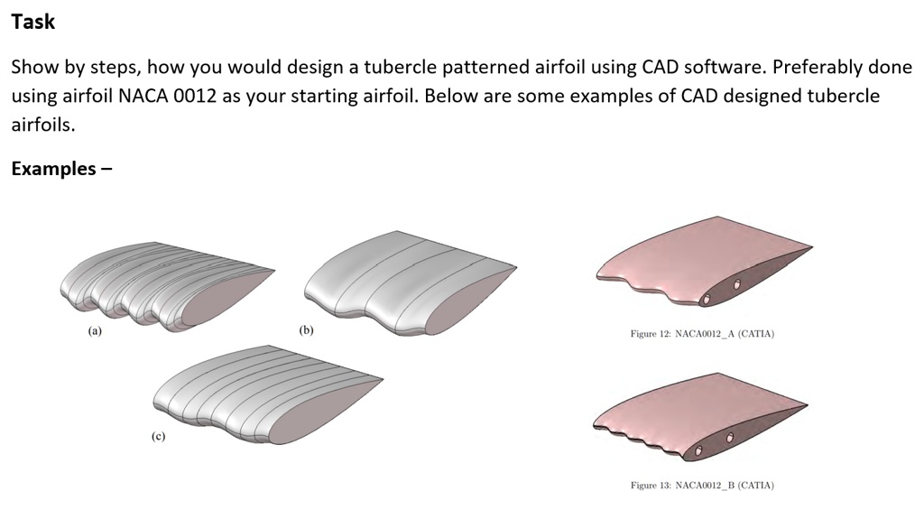 Task Show by steps, how you would design a tubercle...