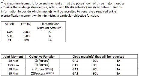 SOLVED: problem33 thank you. The maximum isometric force and moment arm ...