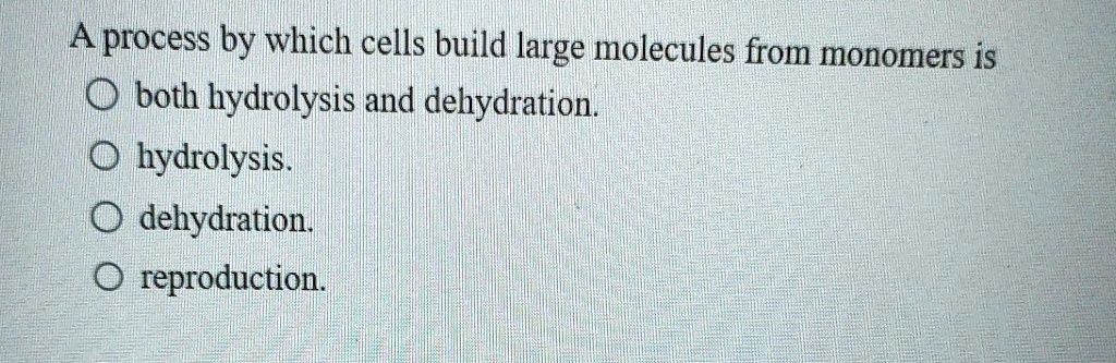 A process by which cells build large molecules from monomers is both ...