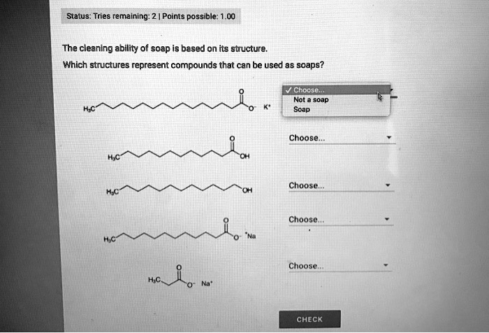 SOLVED: Status: Tries remaining: Points possible: 100 The cleaning ability of soap is based on ...