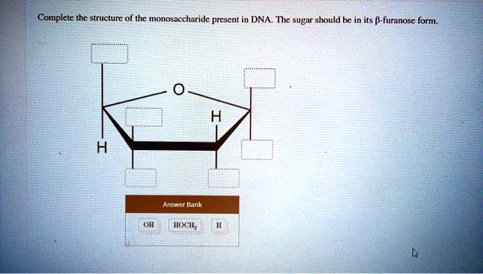 SOLVED: Complete thc structure of thc: monosaccharide present in DNA ...