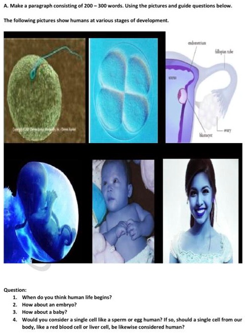 make paragraph consisting of 200 300 words using the pictures and quide ...