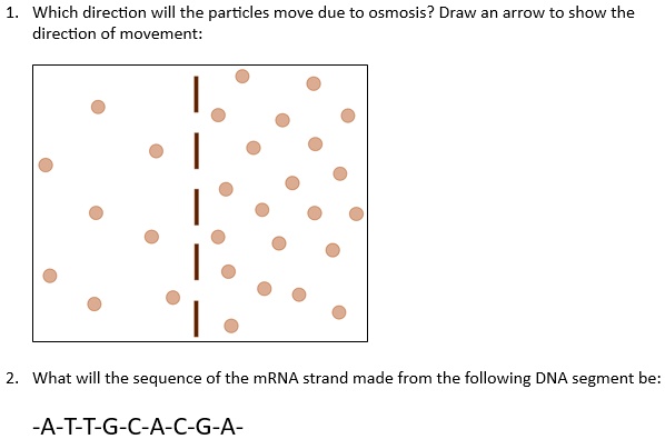 SOLVED: 1. Which direction will the particles move due to osmosis? Draw ...