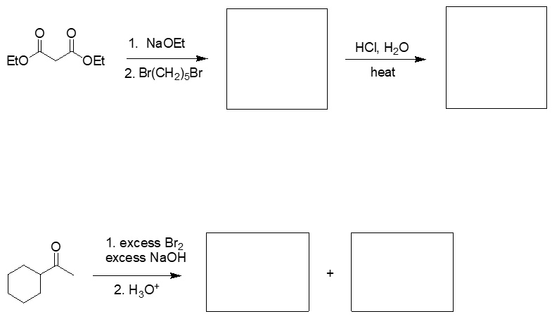 SOLVED: Please fill out the boxes with the structures of the right ...