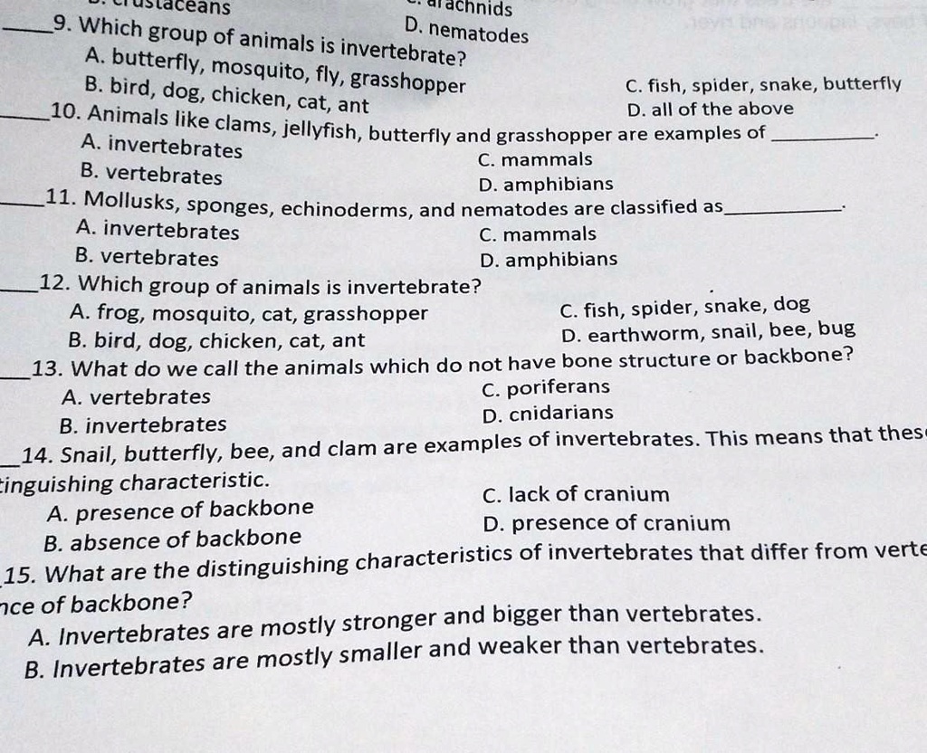 9. Which group of animals is invertebrate? A. butterfly, mosquito, fly ...