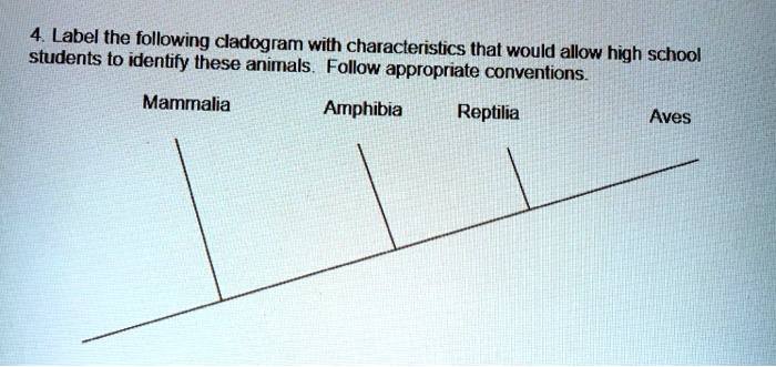 SOLVED: udehes tbe following cladogram with characteristics Ihal would ...