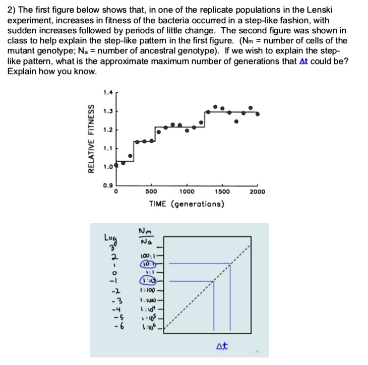 2) The first figure below shows that, in one of the replicate ...
