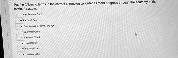 Put the following terms in the correct chronological order as tears ...