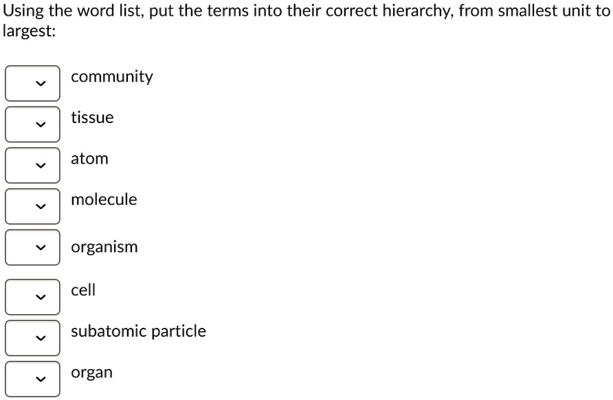 SOLVED: Using the word list; put the terms into their correct hierarchy, from smallest unit to ...