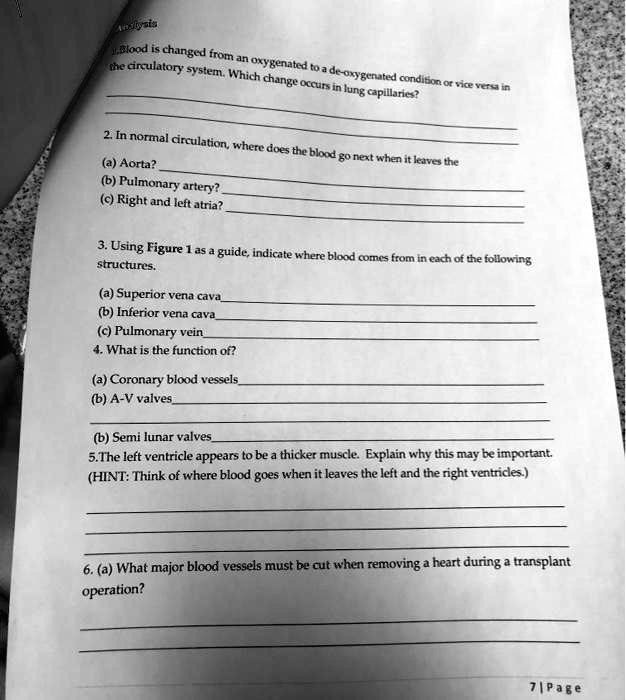 Alysis Blood is changed from an oxygenated to a de-oxygenated condition ...