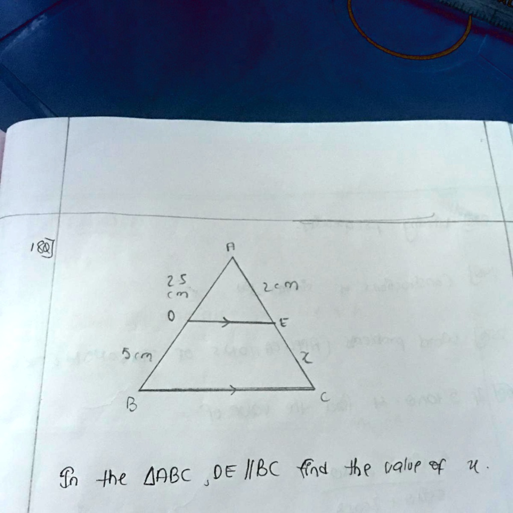 In the ABC, DE ∥BC find the value of u.