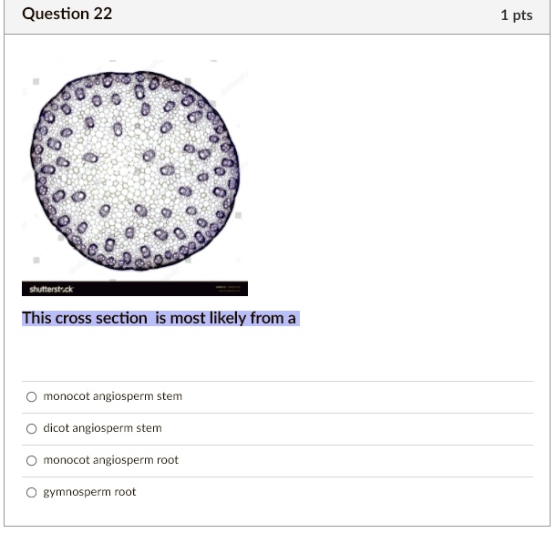 SOLVED: Question 22 1 pts enetee This cross section is most likely from ...