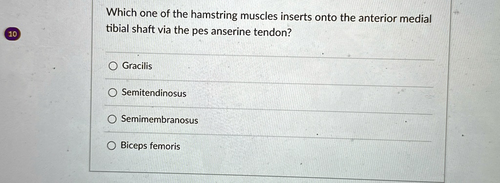 10 Which one of the hamstring muscles inserts onto the anterior medial ...