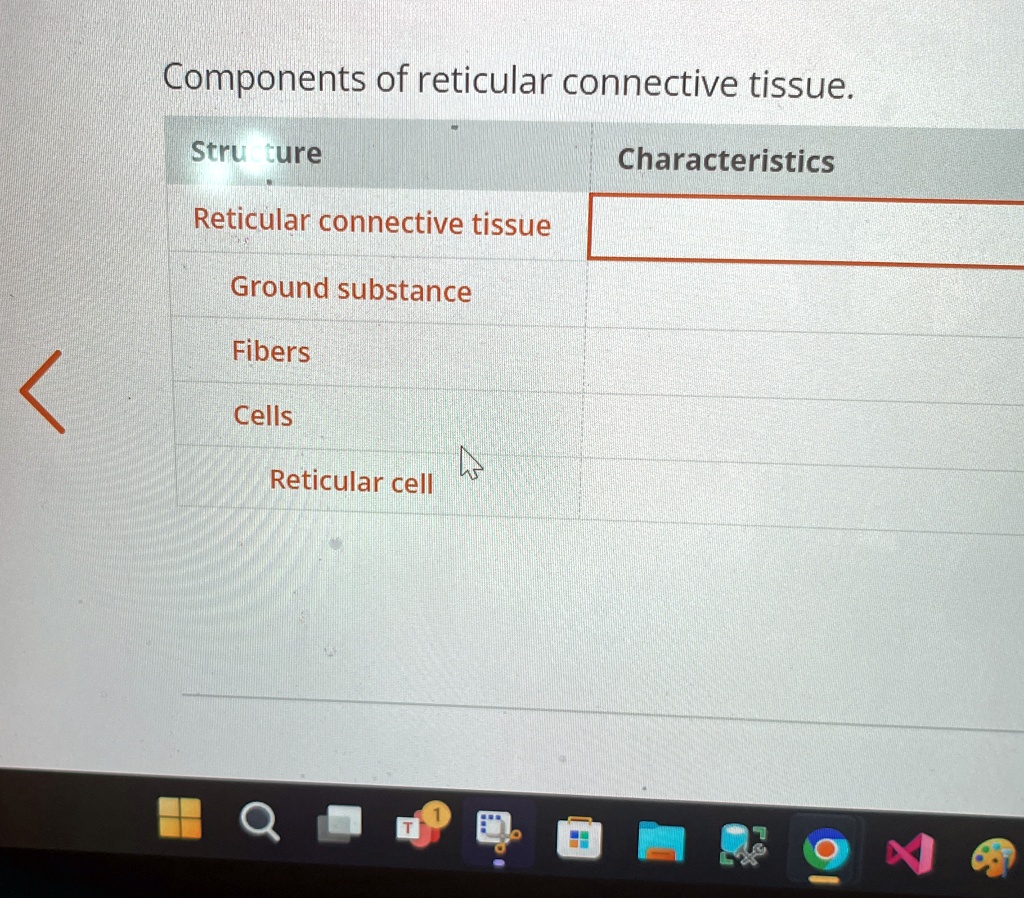 components of reticular connective tissue structure reticular ...