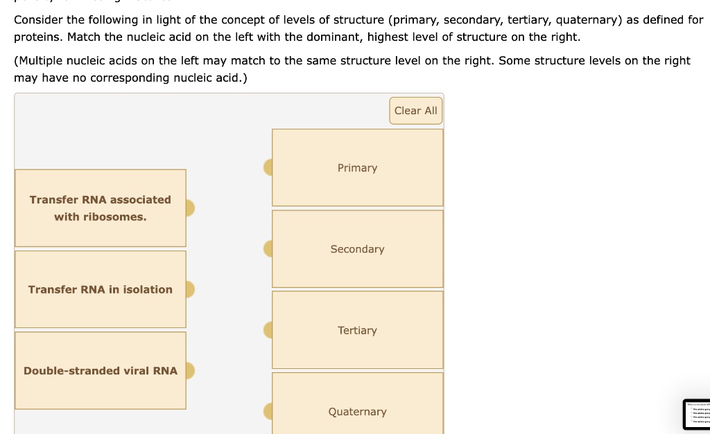 SOLVED: proteins. Match the nucleic acid on the left with the dominant ...