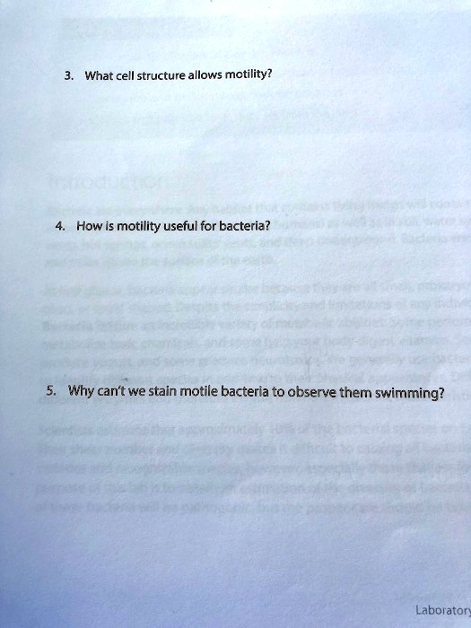 what cell structure llows motility how is motility useful for bacteria ...
