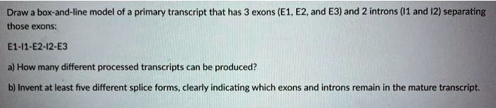 SOLVED:Draw box-and-Iine model of . primary transcript that has 3 exons ...