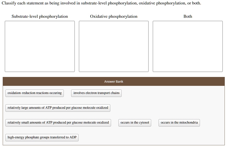 SOLVED: Classify each statement as being involved in substrate-level phosphorylation; oxidative ...
