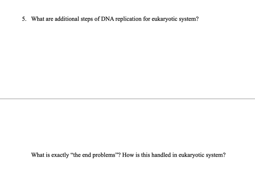 SOLVED: 5. What are additional steps of DNA replication for eukaryotic ...
