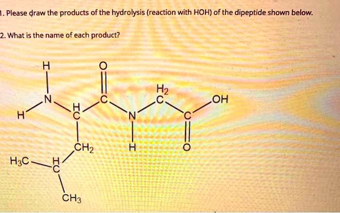 SOLVED: Please draw the products of the hydrolysis (reaction with HOH) of the dipeptide shown ...