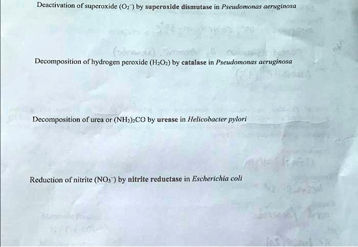 Deactivation of superoxide (O2^-) by superoxide dismutase in ...