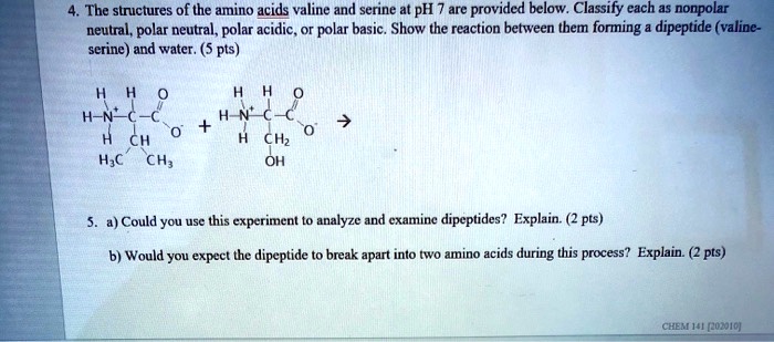 SOLVED: The structures of the amino acids valine and serine at pH ...