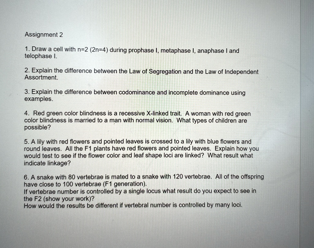Assignment 2 1. Draw a cell with n=2 (2n=4) during prophase I ...