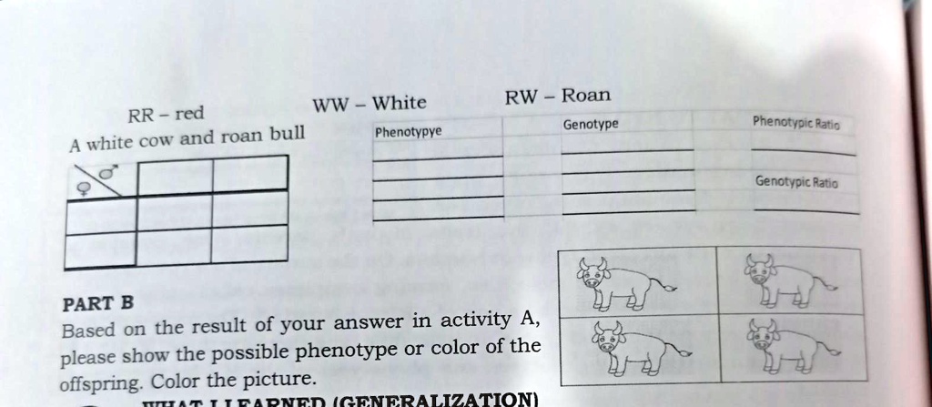 [GET ANSWER] RR - red WW - White RW - Roan A white cow and roan bull ...