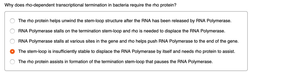 SOLVED: Why ' does rho-dependent transcriptional termination in ...