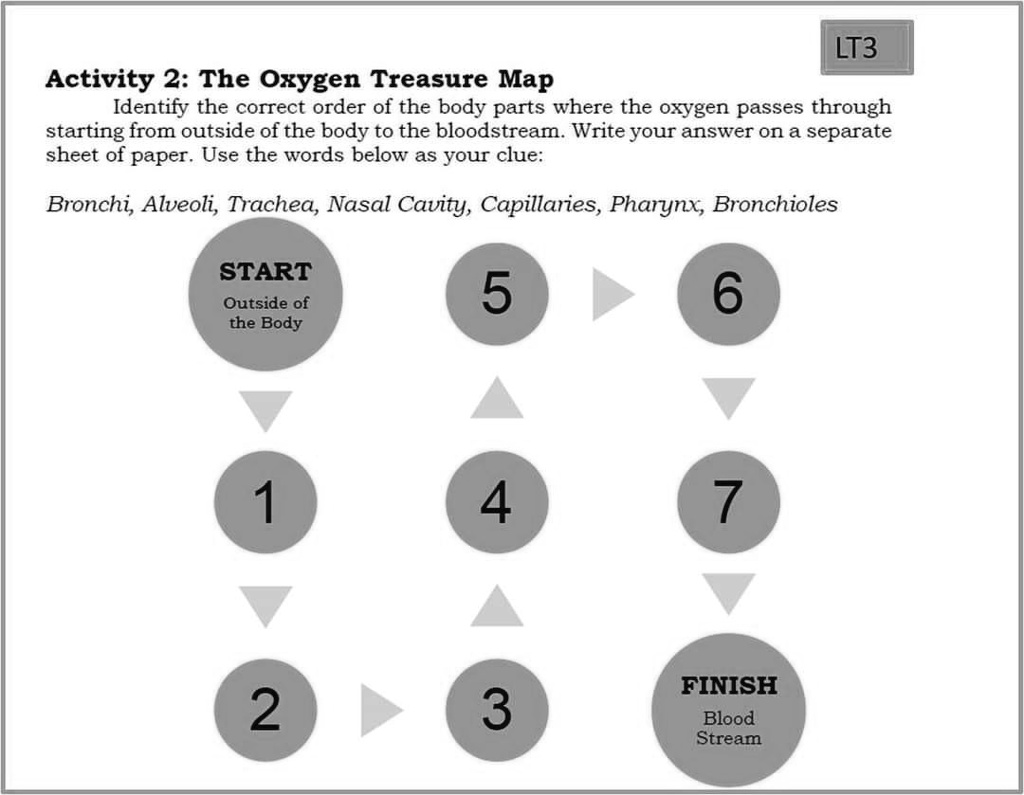 Activity 2: The Oxygen Treasure Map LT3 Identify the correct order of ...