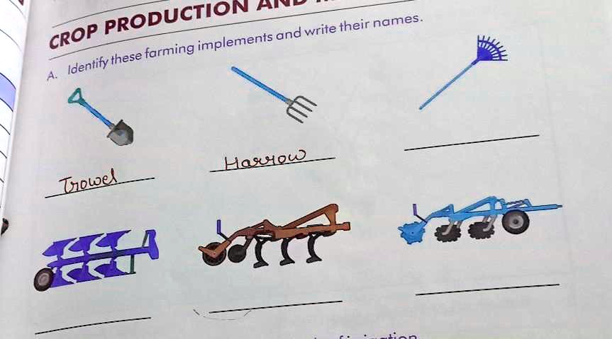 SOLVED: 'A. Identify these farming implements and write their names.' SOLVED: 'A. Identify these farming implements and write their names.'