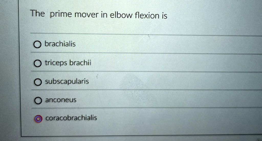 the prime mover in elbow flexion is brachialis triceps brachii ...