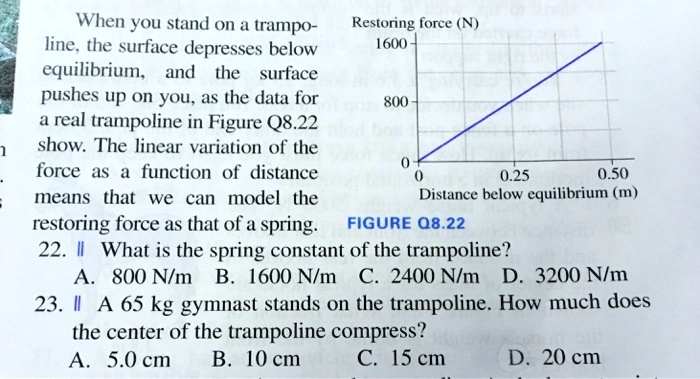 When you stand on a trampoline, the surface depresses below equilibrium ...