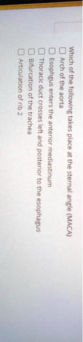 Which of the following takes place at the sternal angle (MACA) Arch of ...