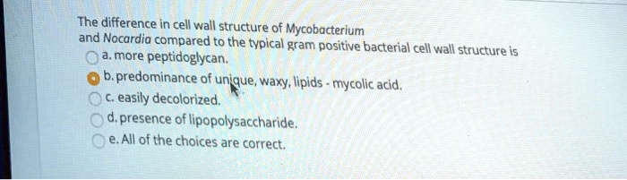 SOLVED: The 5 differences in cell wall structure of Mycobacterium and ...