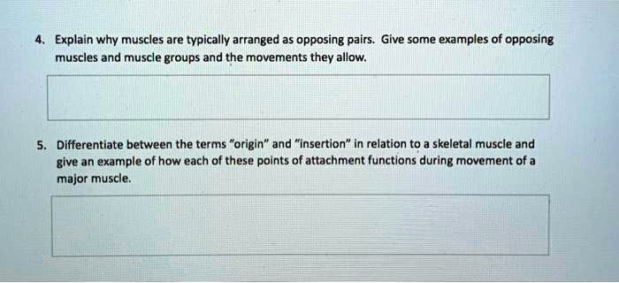 SOLVED: 4. Explain why muscles are typically arranged as opposing pairs ...