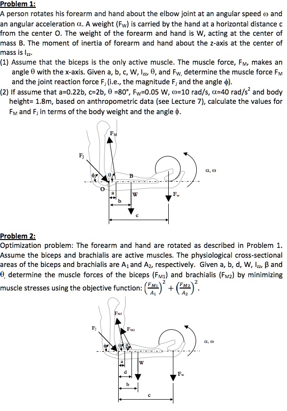 SOLVED: Problem 1: A person rotates his forearm and hand about the ...