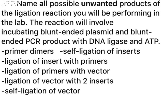 SOLVED: Name all possible unwanted products of the ligation reaction ...