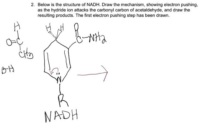 SOLVED: 2. Below is the structure of NADH.Draw the mechanism,showing ...