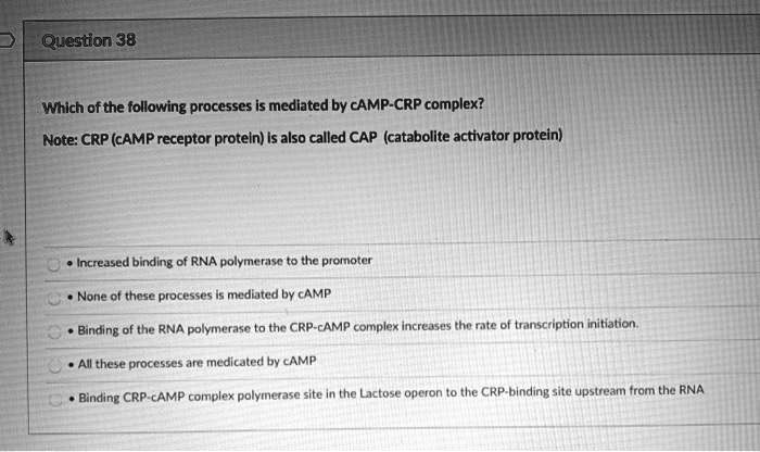 SOLVED: Question 38 Which of the following processes Is mediated by ...