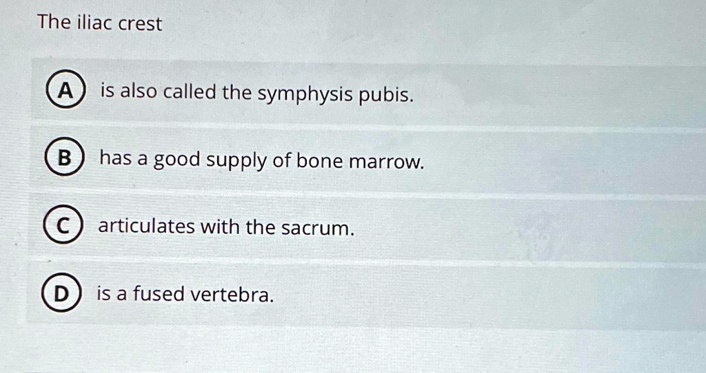 The iliac crest A is also called the symphysis pubis. B has a good ...