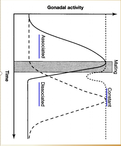 Gonadal activity Associated Time Dissociated Constant Mating