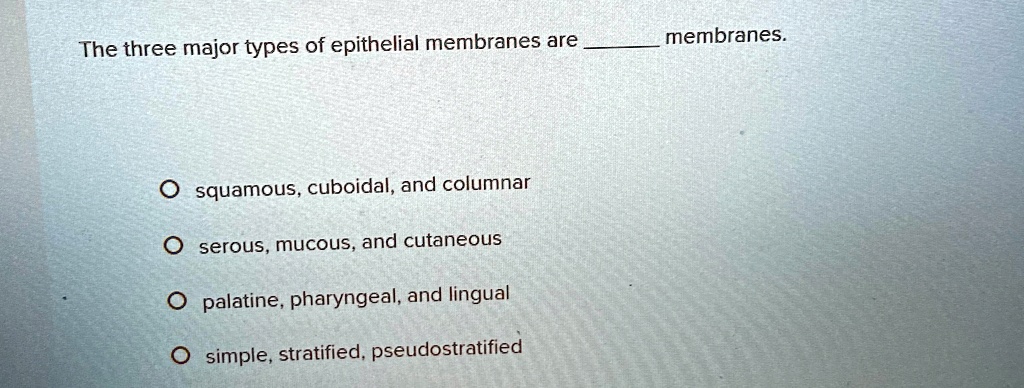 The three major types of epithelial membranes are membranes. O squamous, cuboidal, and columnar ...