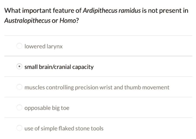 SOLVED: What important feature of Ardipithecus ramidus is not present ...