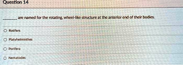 SOLVED: Texts: I need some help. Question 14: Are named for the ...