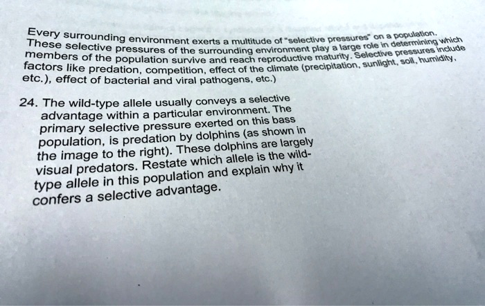 every surrounding environment selective pressures population these ...
